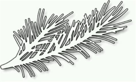 Evergreen Branch Impression Obsession Impress Card Making