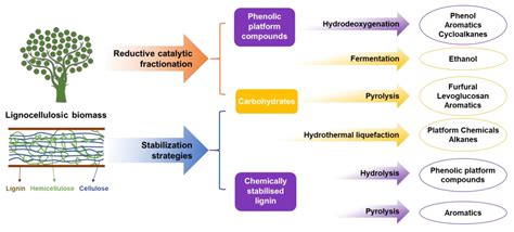 Lignin First Biorefinery For Converting Lignocellulosic Biomass Into
