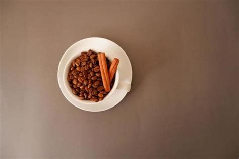 무료 사진 제목