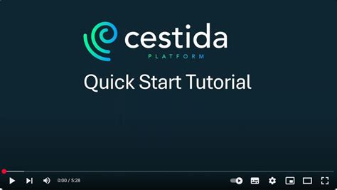 🚀 Quick Start Tutorial Now Live 🎬 Everything An End User Needs To Know To Run A Model In Just