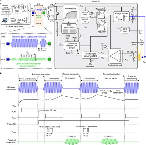 Entirely Wireless O2 Monitoring System Block Diagram A The External Download Scientific