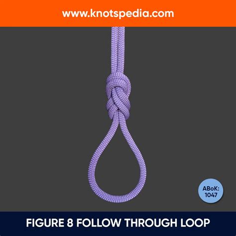 How To Tie A Figure 8 On A Bight Knot Figure 8 Loop Knot