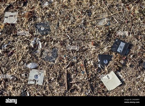 Old Floppy Disks Thrown Away In A Field Where They Are Already Being Swallowed By Nature Stock