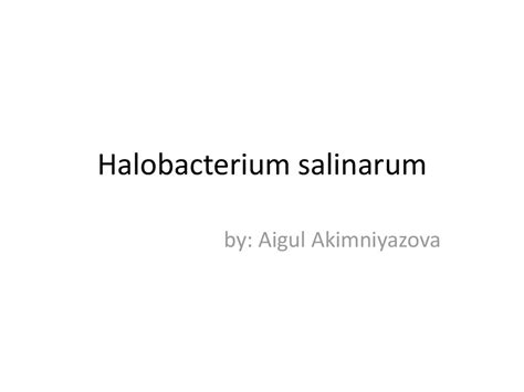 Halobacterium Salinarum презентация онлайн