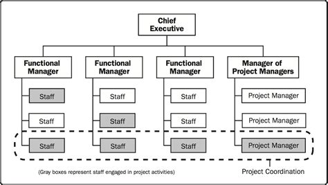 โครงสร้างขององค์กร Organizational Structures