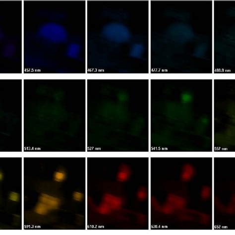 Pdf Coded Aperture Compressive Spectral Temporal Imaging