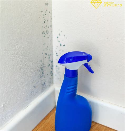 9 лучших средств от грибка и плесени на стенах Рейтинг 2024 года Отзывы и обзоры Дзен