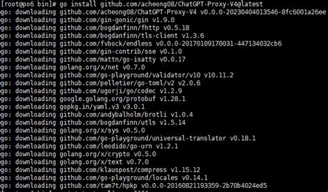 I M A Noviceafter Go Install Github Acheong ChatGPT Proxy V Latesthow To Start Issue