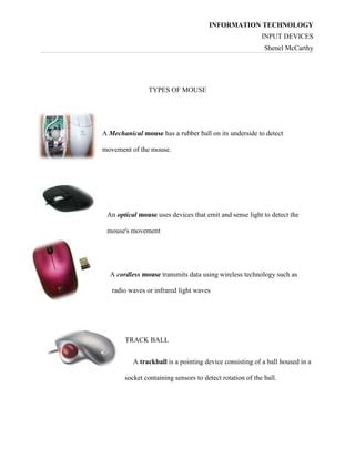 Input Devices PDF