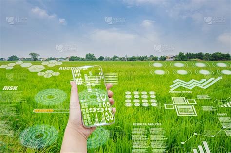 智能农民手持智能手机，稻田生产控制，概念农产品控制技术，农业未来贸易世界市场，跟踪生产力，卫星农业素材 花瓣网