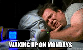 100 Ultimate Happy Monday S To Share And Lol Dailyfunnyquote