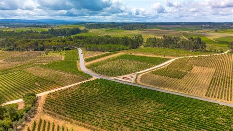 Monitoring Data Summaries Eu Cap Network