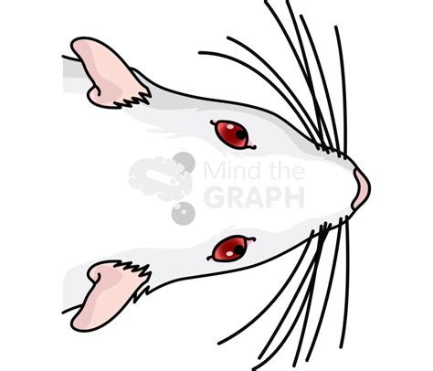 Free Intracerebral Injection Application Icons Symbols Pictures And