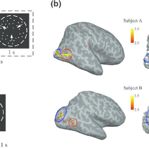 A Visual Stimuli Used In The Fmri Experiment For Localizing The Visual