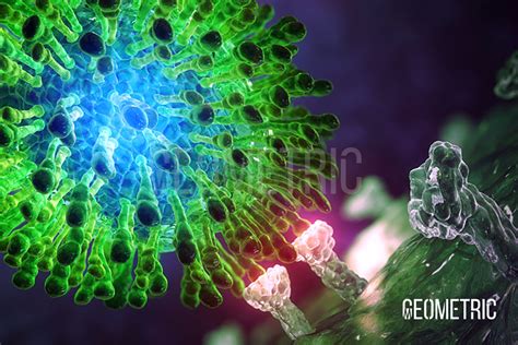 Hcv Illustration Geometric Medical