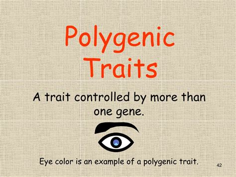 PPT The Basics Of Genetics Understanding Mendel S Discoveries PowerPoint Presentation ID