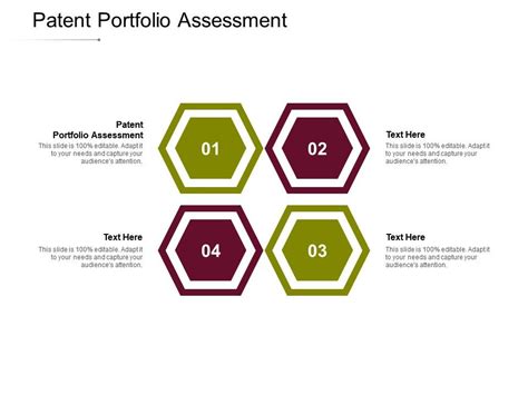 Patent Portfolio Assessment Ppt Powerpoint Presentation Summary Styles Cpb Presentation