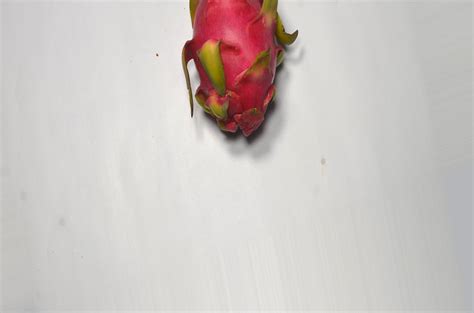 Fruit Detectioncounting Object Detection Dataset By Myworks