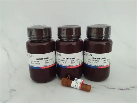 植物超氧阴离子染色液 NBT法 使用说明 南京亿迅生物科技有限公司