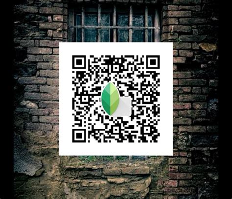 Snapseed Filter Qr Code