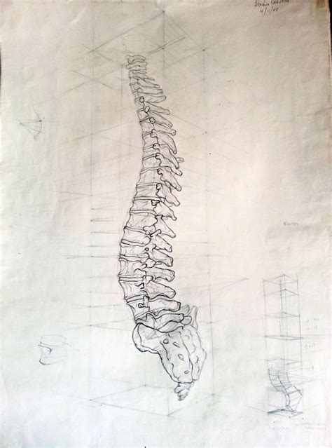 Analytic Drawing Dibujo Analitico On Behance