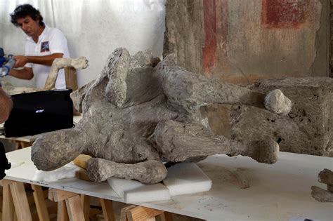 The History Blog Blog Archive Plaster Casts Of Vesuvius Victims Restored