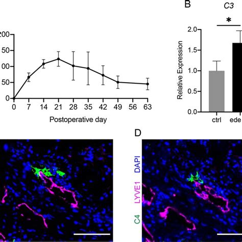 Postoperative Upregulated C Expression And Complement Activation In Download Scientific