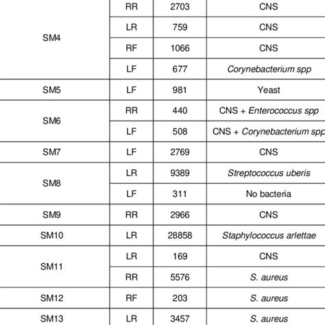 Bacterial Identification And Somatic Cell Count Of Subclinical Mastitis