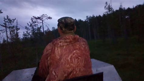 С ЖЕНОЙ НА КАРАКАТЕ ПО БОЛОТУ Youtube