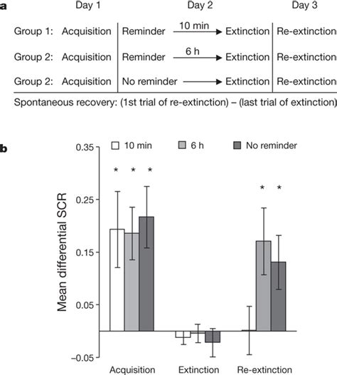 Extinction During Reconsolidation Prevents Spontaneous Recovery Of Download Scientific Diagram