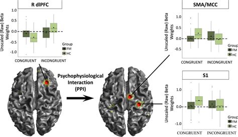 Illustrates Psychophysiological Interaction Ppi Functional Download Scientific Diagram