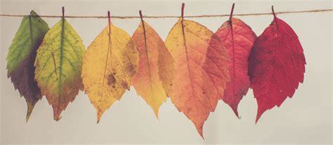 3 Ideas De Retrospectiva Desconocidas E Interactivas En Scrum