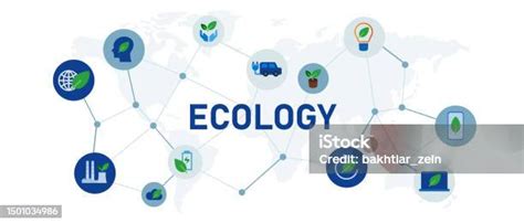 생태학 생태 지구 환경 친화적 인 비즈니스 상호 연결된 아이콘 세트 그림 0명에 대한 스톡 벡터 아트 및 기타 이미지 0명 개념 개념과 주제 Istock