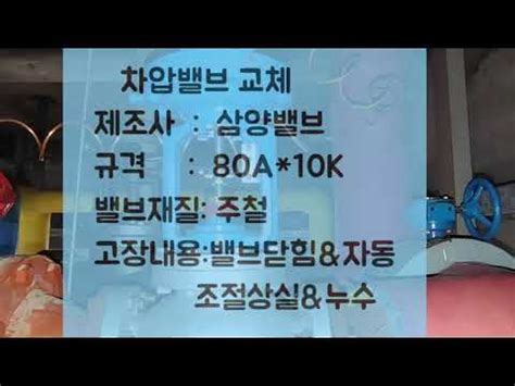 성도기전 삼양밸브 차압밸브 교체하기 YouTube