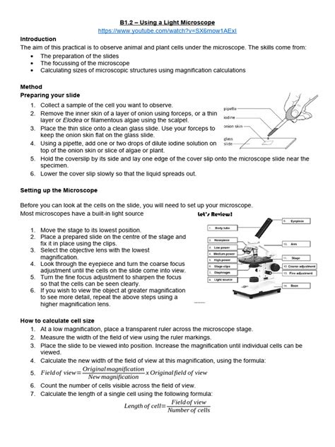 Gcse Combined Rp Methodology Video Links Pdf Carbohydrates Microscope