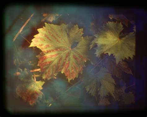 Films Lynn Loo And Guy Sherwin Crater Lab