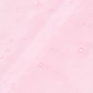 VIVIENNE SABO Масло для губ Dessert a levres 02/macaron/макарон/розовый ...