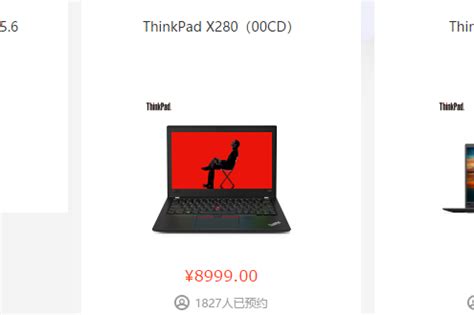 Thinkpad X T X S