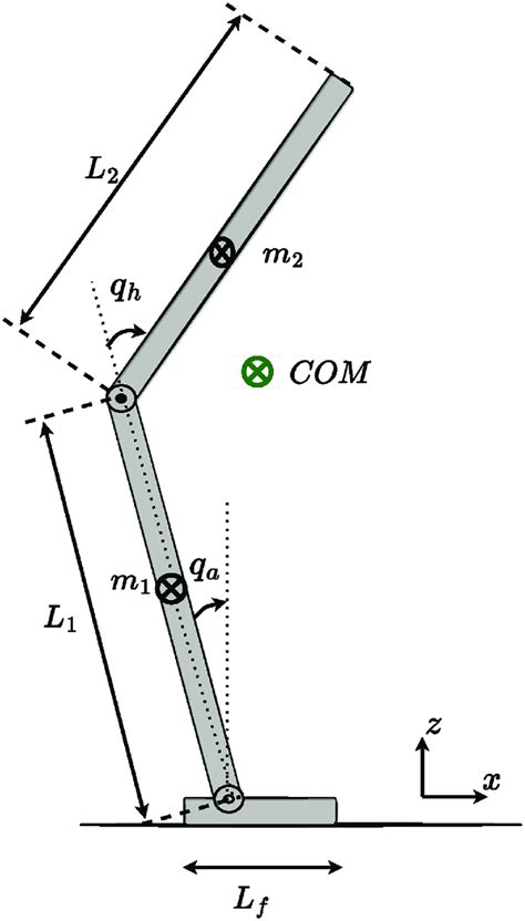 Illustration Of Two Joints Dynamical Model Of The Human Body In Download Scientific Diagram