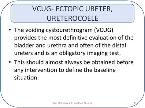 Voiding Cysto Urethrogram Pdf