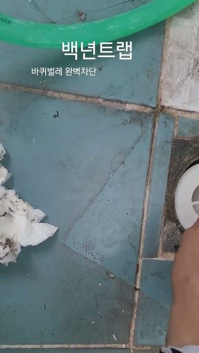 화장실 씽크대 소변기 환기구 양변기 베란다 세탁실 욕실 욕조 집수정 정화조 바퀴벌레 초파리 날파리 쿠팡 네이버 곰팡이 모기 담배냄새 싱크대 배수통교체 수전 수도꼭지 호텔