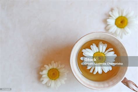 맛있는 허브 차와 신선한 카모마일 꽃이 하얀 테이블에 놓여 있습니다 텍스트를 위한 공간 0명에 대한 스톡 사진 및 기타 이미지