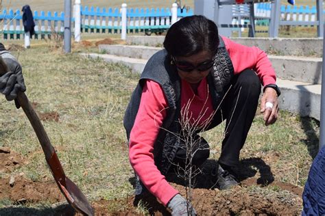 Тэрбум мод үндэсний хөтөлбөрийн хүрээнд