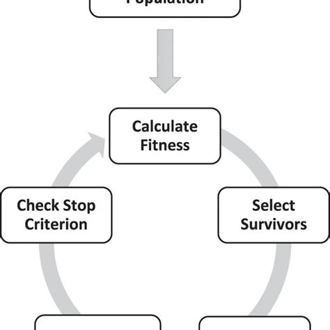 workflow diagram of the “distribution optimization” evolutionary