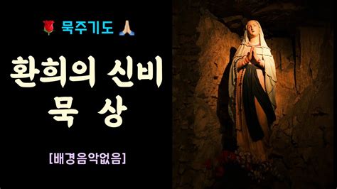 묵주기도 환희의 신비배경음악없음ㅣ위로가 되는 기도ㅣ치유의 기도 ㅣ마음의 평화를 얻는 기도ㅣ가족의 기도ㅣ일상기도ㅣ엄마의 기도ㅣ품격있는 삶 세레나의치유의숲 환희의신비