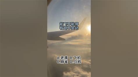 猜谜 儿童 猜谜语 分享 熱門 Youtube