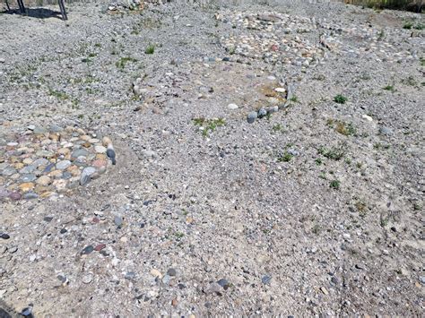 Dòlmens I Menhirs Pilar Necròpolis De La Colomina Gerb Noguera