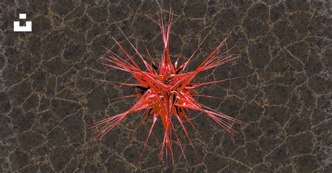 빨간색의 뾰족한 물체가 중앙에 있습니다 사진 Unsplash의 무료 추상적인 이미지