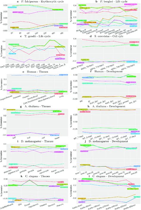 Correlations Between Expression And K Mer Frequency Of The Most