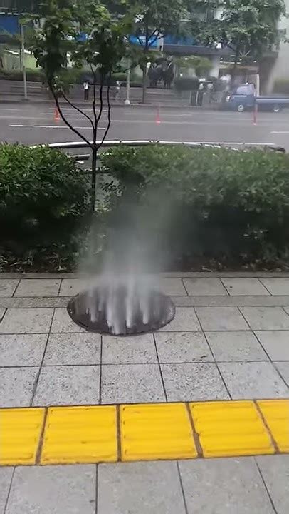 폭우가 쏟아지는 날 Youtube